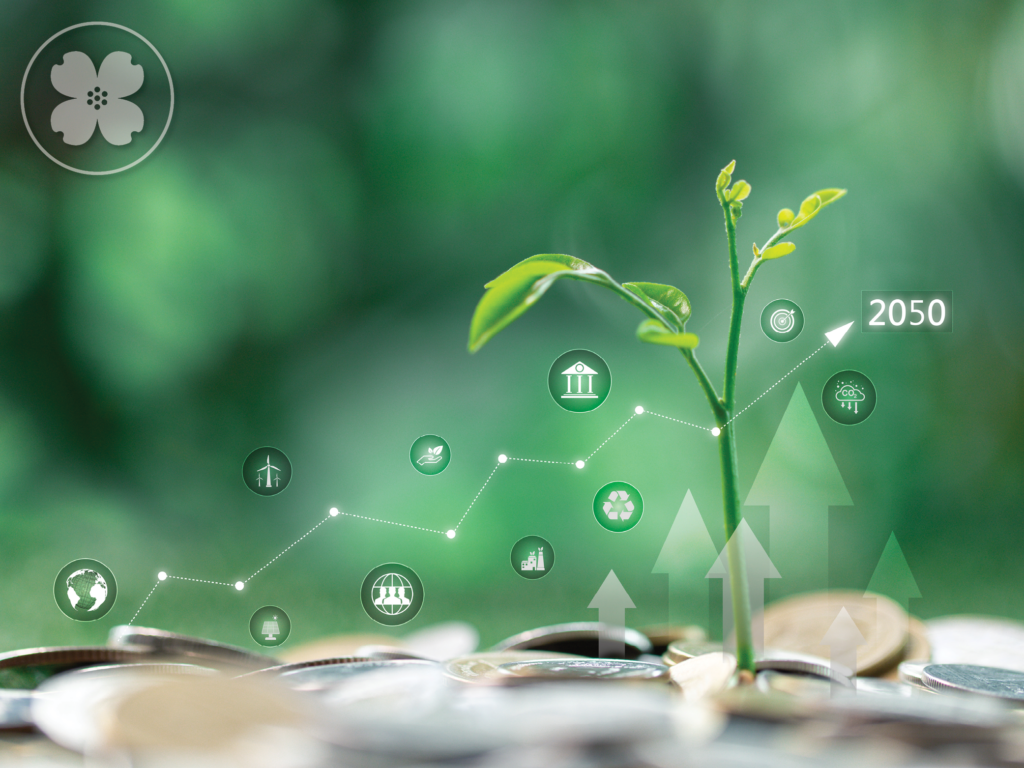 Value vs. Growth Investing: What's the Difference? - Central Trust Company